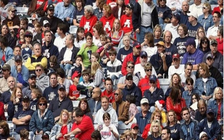 The Psychology of a Football Fan What Drives Passion